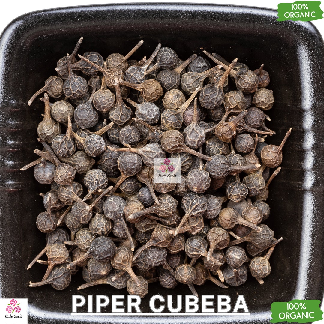 Organic Premium Dried Cubeb Pepper Seeds - Aromatic, Whole, Natural ...