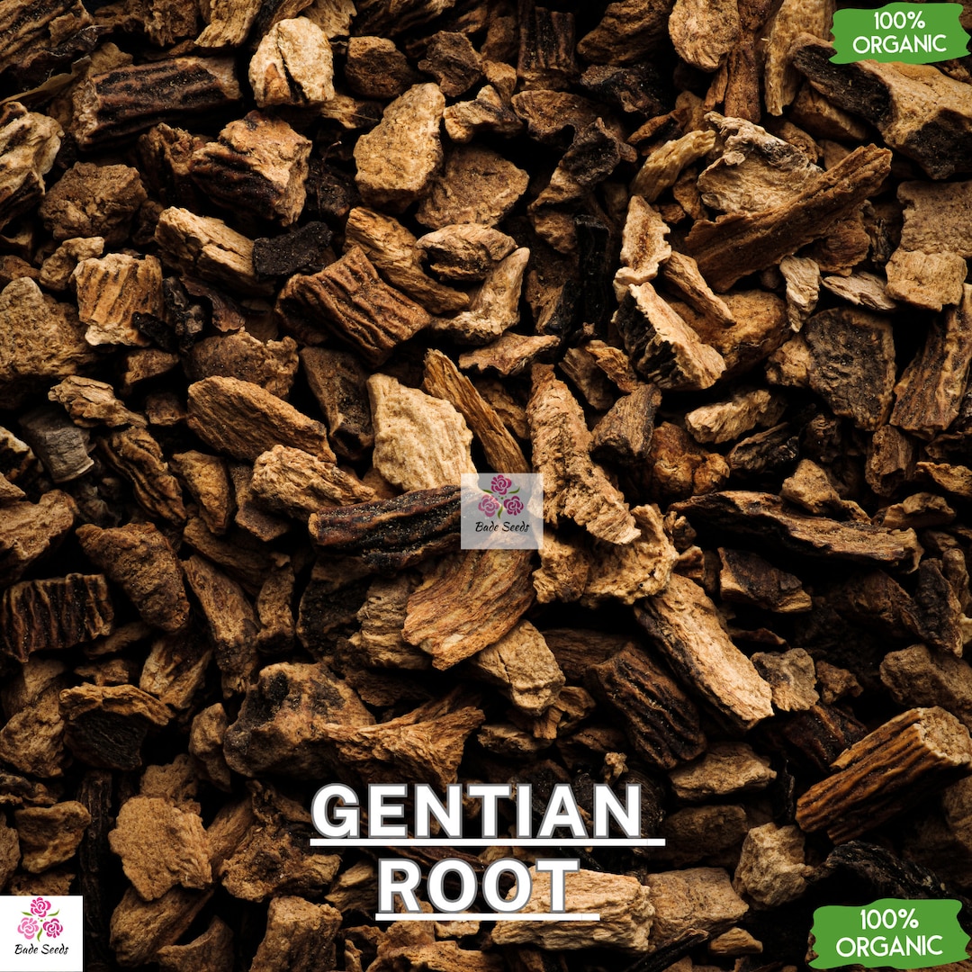 Organic Dried Yellow Gentian Root - Dried & Cut - Dried, Gentiana Lutea ...