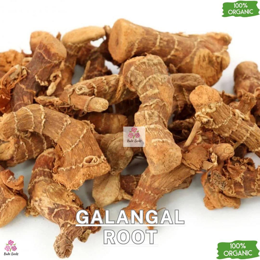 Organic Galangal Root - Dried and Ground, Premium Quality Spice ...
