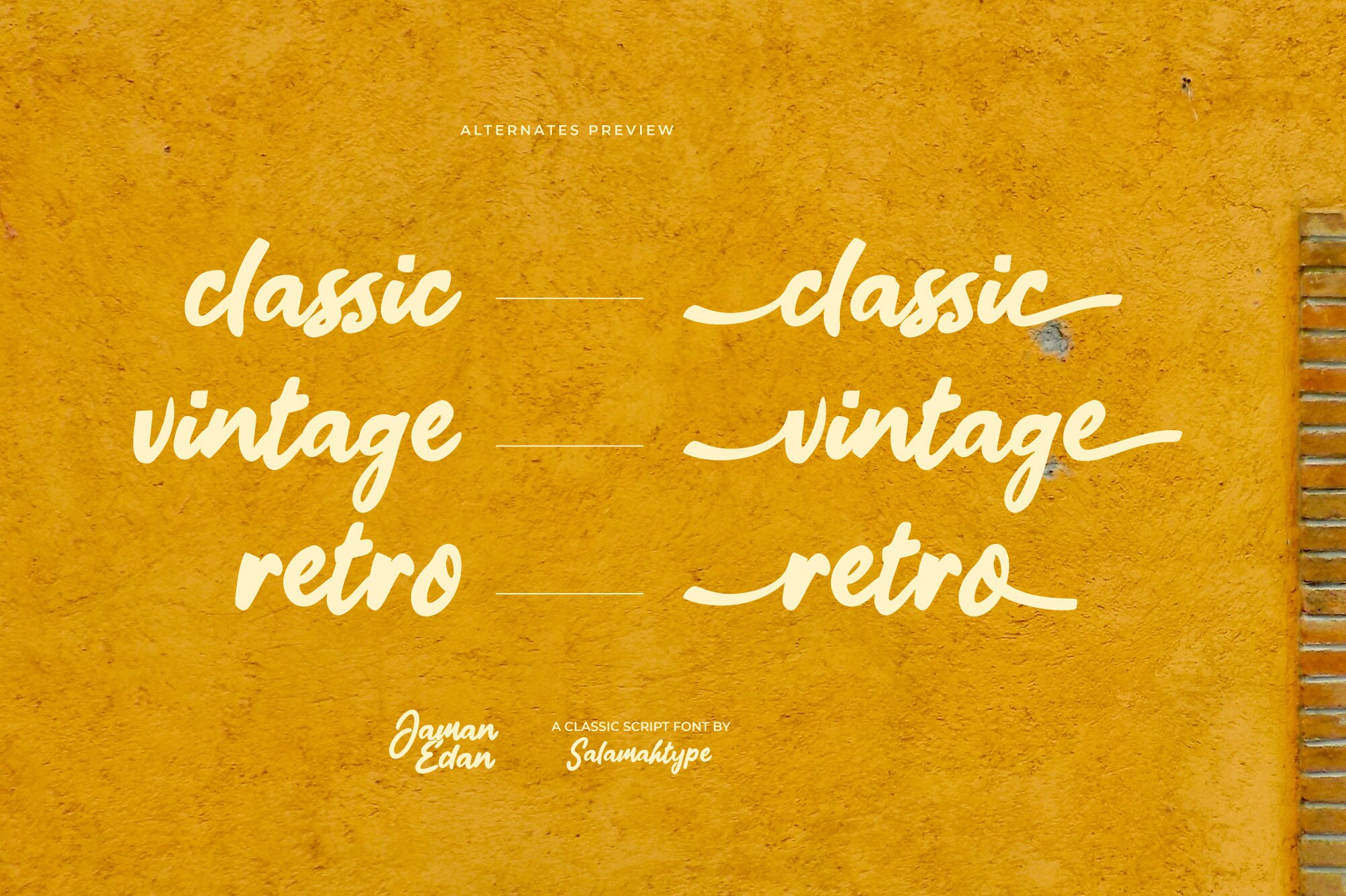 Script Font, Procreate Font, Branding Font, Canva Font, Logo Font ...