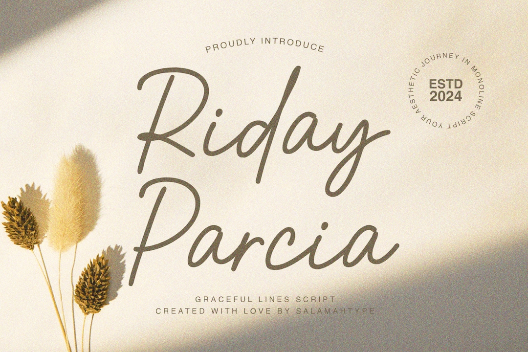 Monoline Script Signature Font, Modern Font, Wedding Font, Minimal Font ...