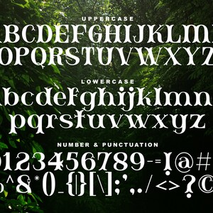 Budaya Classic Display Font: Unique Culture Font - Etsy