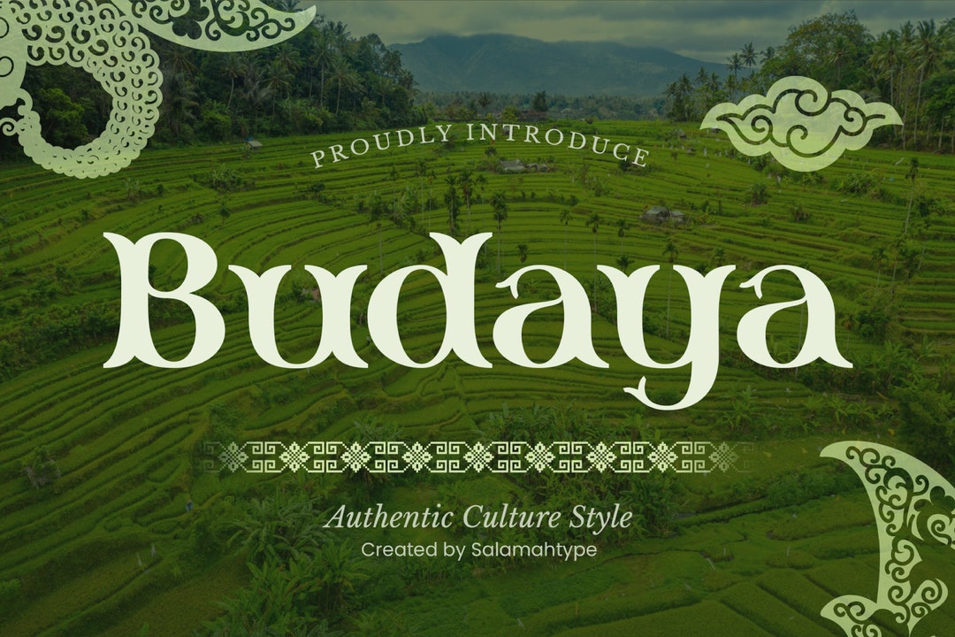 Budaya Classic Display Font, Unique Font for Cricut, Procreate Font ...