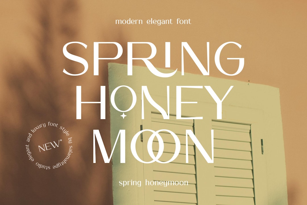 Modern Font, Modern Typefaces, Classy Font, Luxury Fonts, Font for ...