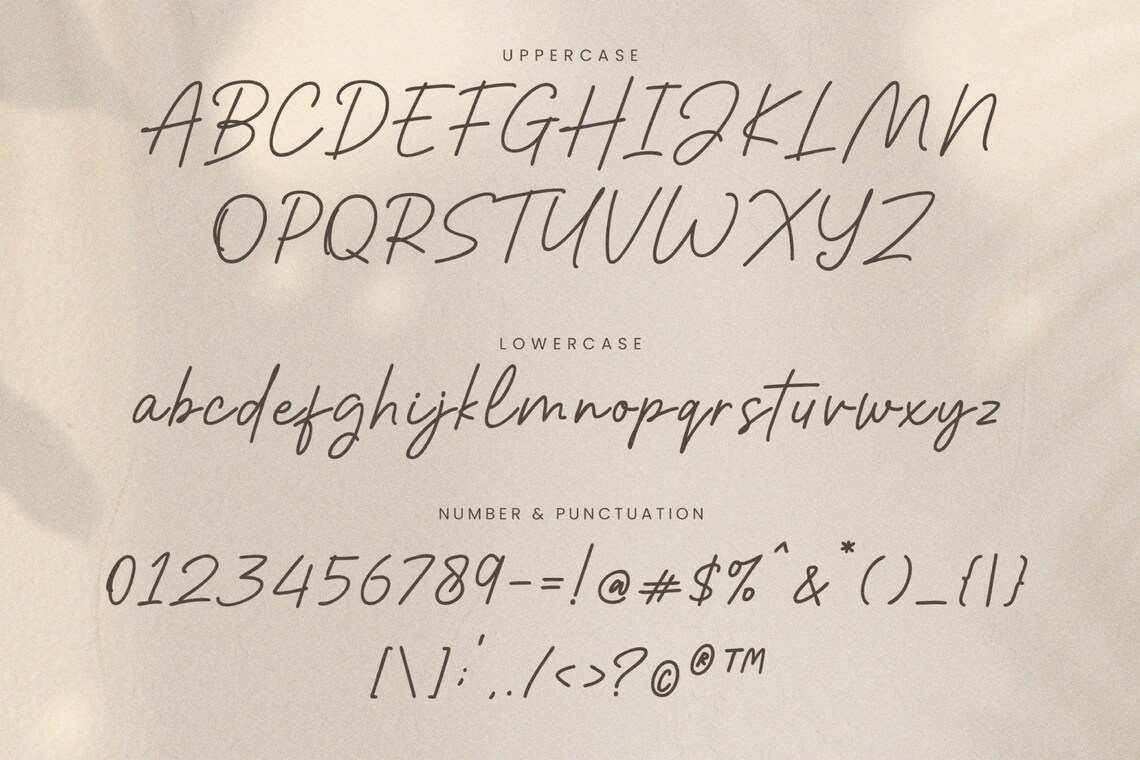 Monoline Script Signature Font, Modern Font, Wedding Font, Minimal Font ...