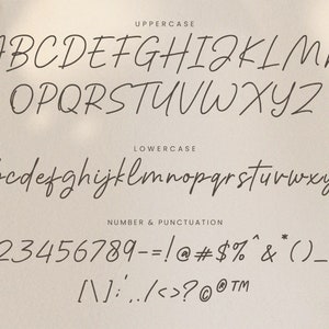 Monoline Script Signature Font, Modern Font, Wedding Font, Minimal Font ...