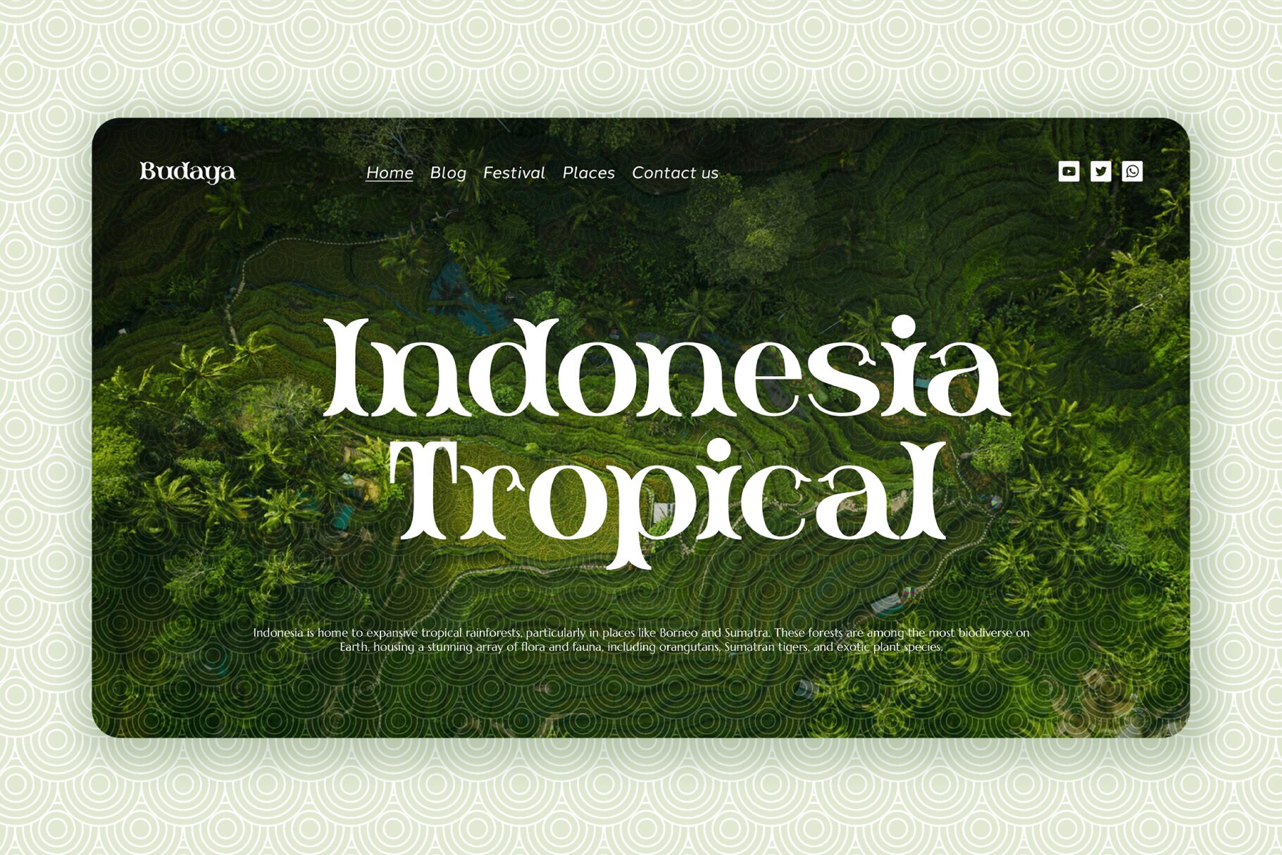 Budaya Classic Display Font, Unique Font for Cricut, Procreate Font ...