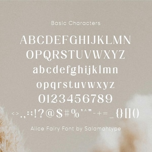 Beauty Font for Logo, Cosmetics Font, Skin Care Font, Classy Font ...