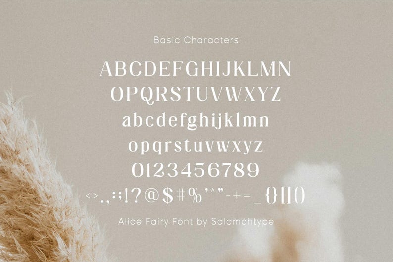 Beauty Font for Logo, Cosmetics Font, Skin Care Font, Classy Font ...