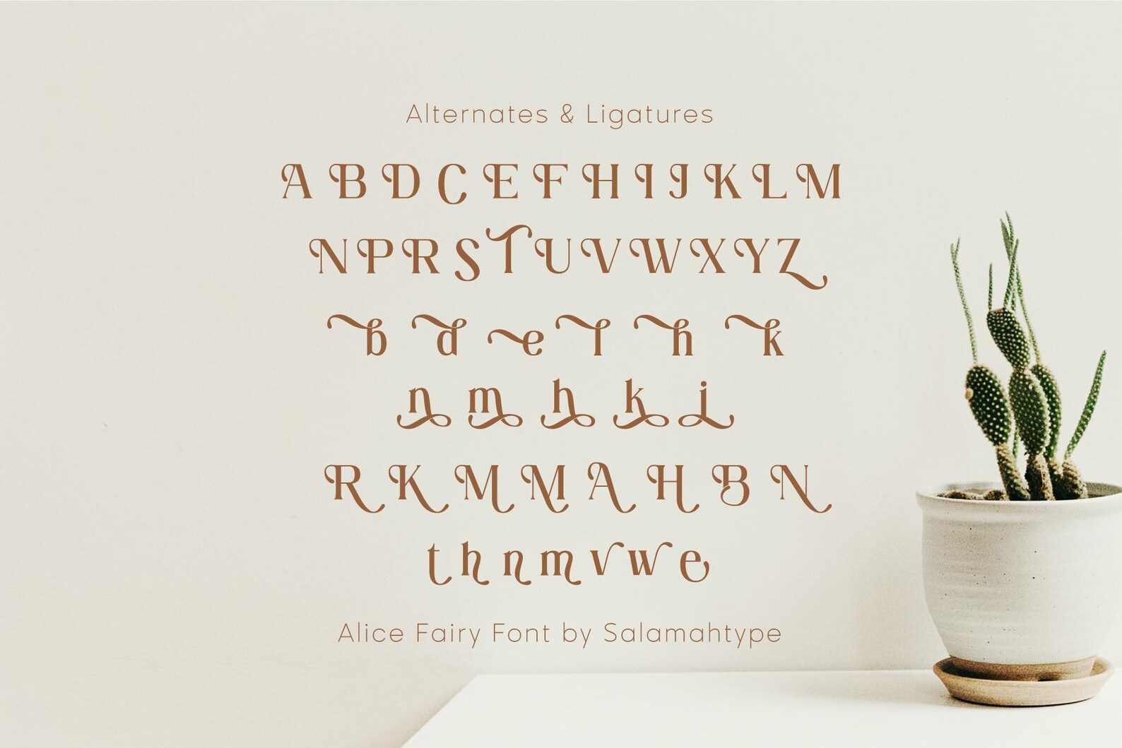 Beauty Font for Logo, Cosmetics Font, Skin Care Font, Classy Font ...