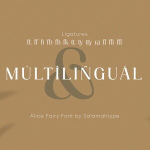 Beauty Font for Logo, Cosmetics Font, Skin Care Font, Classy Font ...