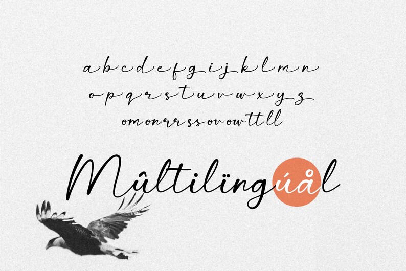 Wings Signature Font: Elegant Script for Logo & Branding (TTF OTF) - Etsy