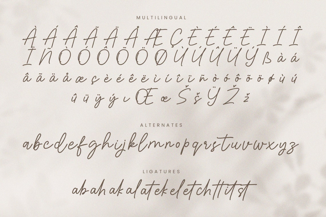 Monoline Script Signature Font, Modern Font, Wedding Font, Minimal Font ...