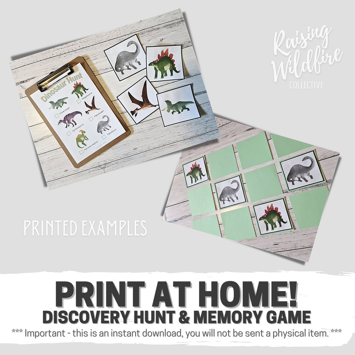 Printable Scavenger / Discovery Hunt & Memory Game - Dinosaur Theme; 2 ...