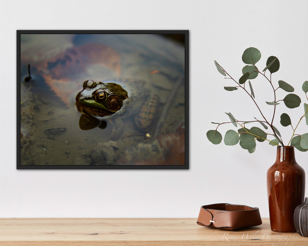 Forest Frog Photography Print - Moody Marsh Frog Macro Print - Macro ...