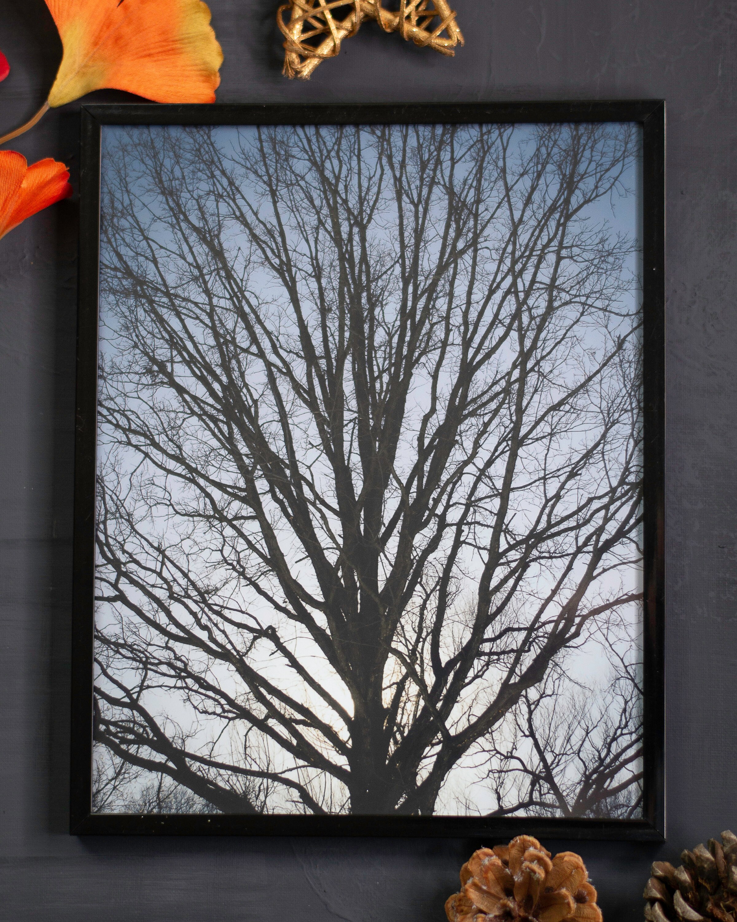 Tree Silhouette Wall Art Blue Hour Photo Print Winter - Etsy