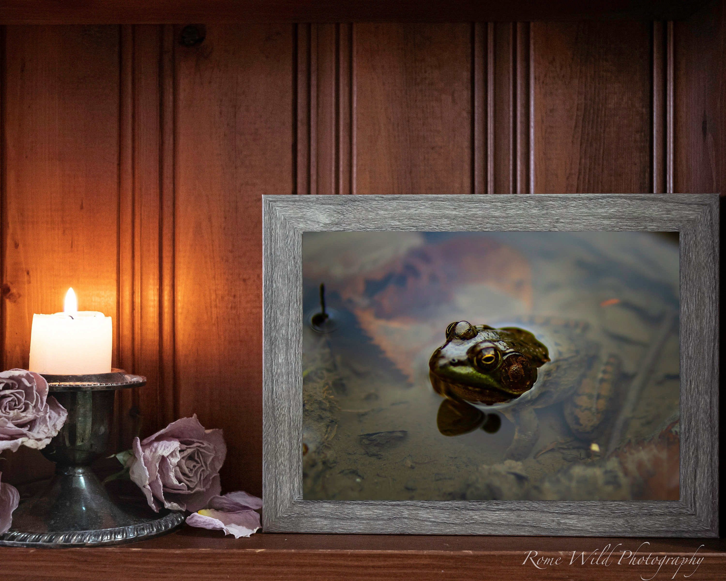 Forest Frog Photography Print - Moody Marsh Frog Macro Print - Macro ...