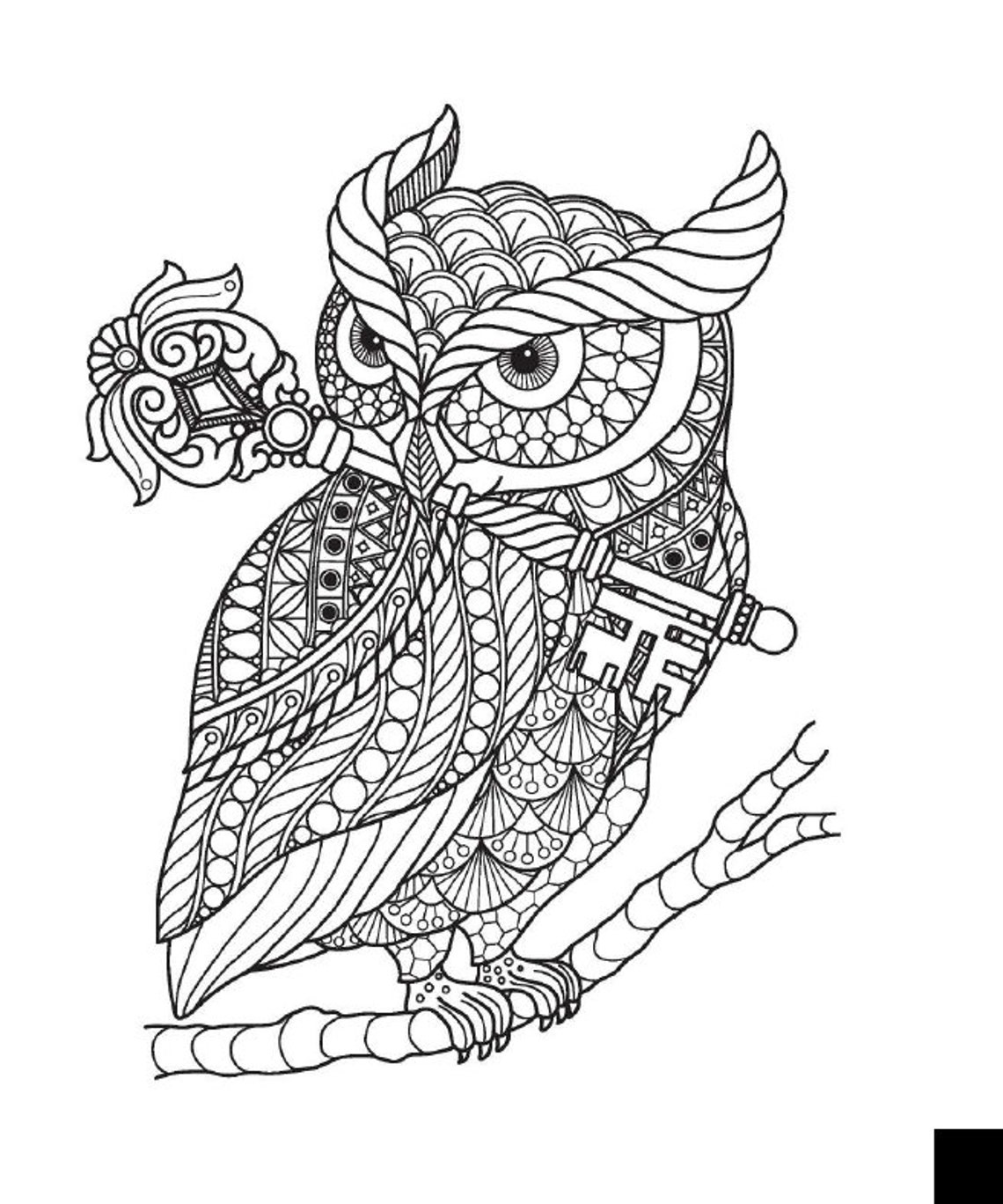 Wild Whirls: an Animal Mandala Coloring Odyssey 3 - Etsy