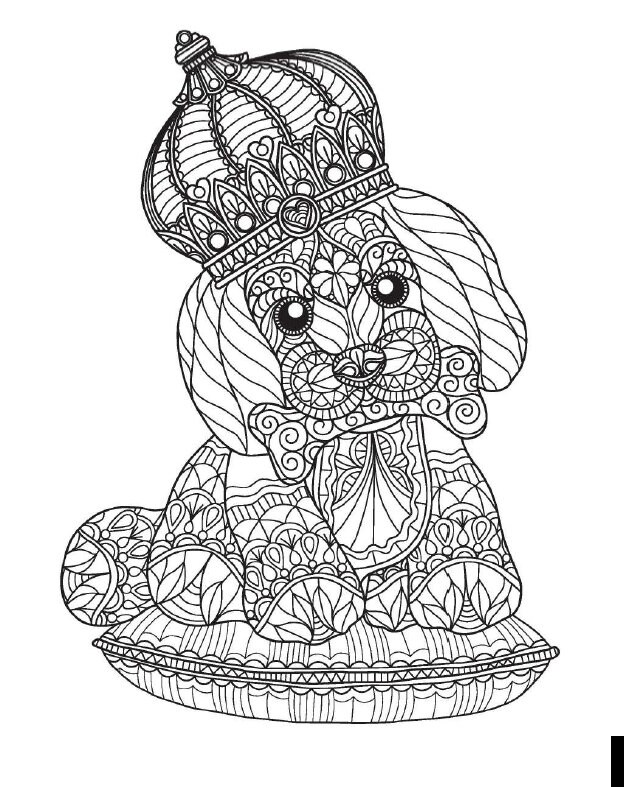 Wild Whirls: an Animal Mandala Coloring Odyssey 3 - Etsy