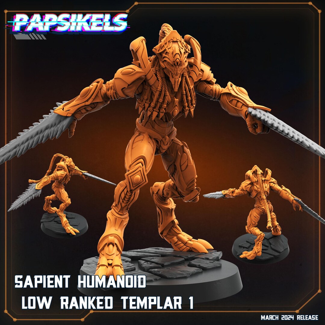Sapient Humanoid Low Ranked Templar 32mm Scale by Papsikels Great for ...