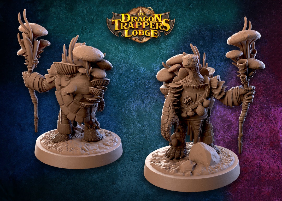 Doc Rooney (turtle Druid) by Dragon Trapper Lodge Great for Dungeons ...