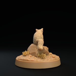 Tanuki (red Panda) by Dragon Trapper Lodge Great for Dungeons and ...