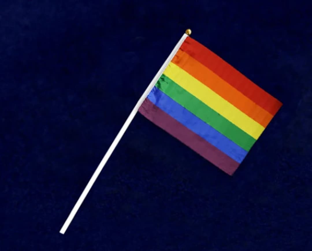 Small Pride Flag With White Stick - Etsy