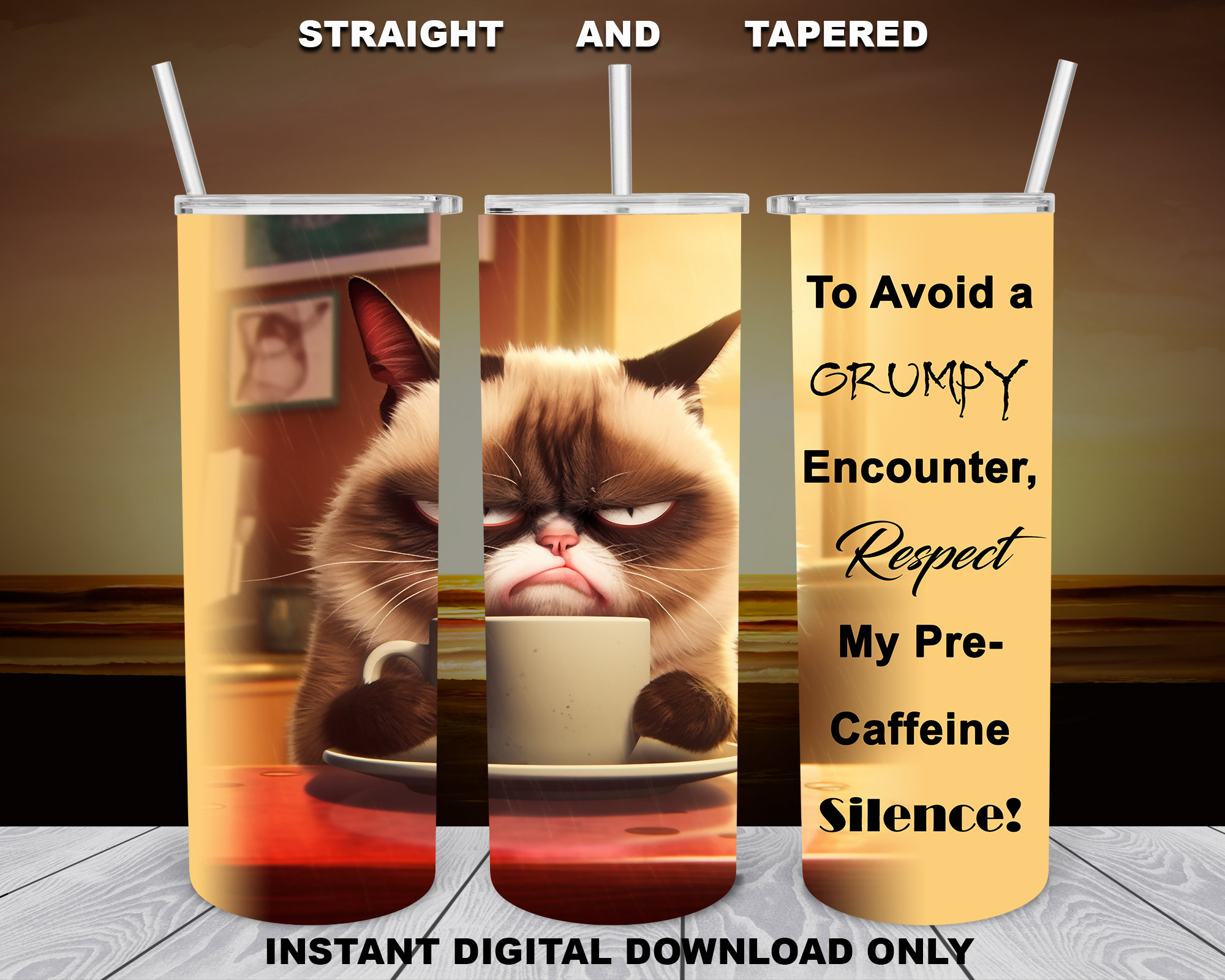 Grumpy Kitty Song Poster