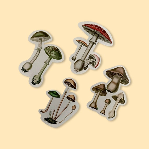 Mushroom Sticker Pack - Etsy