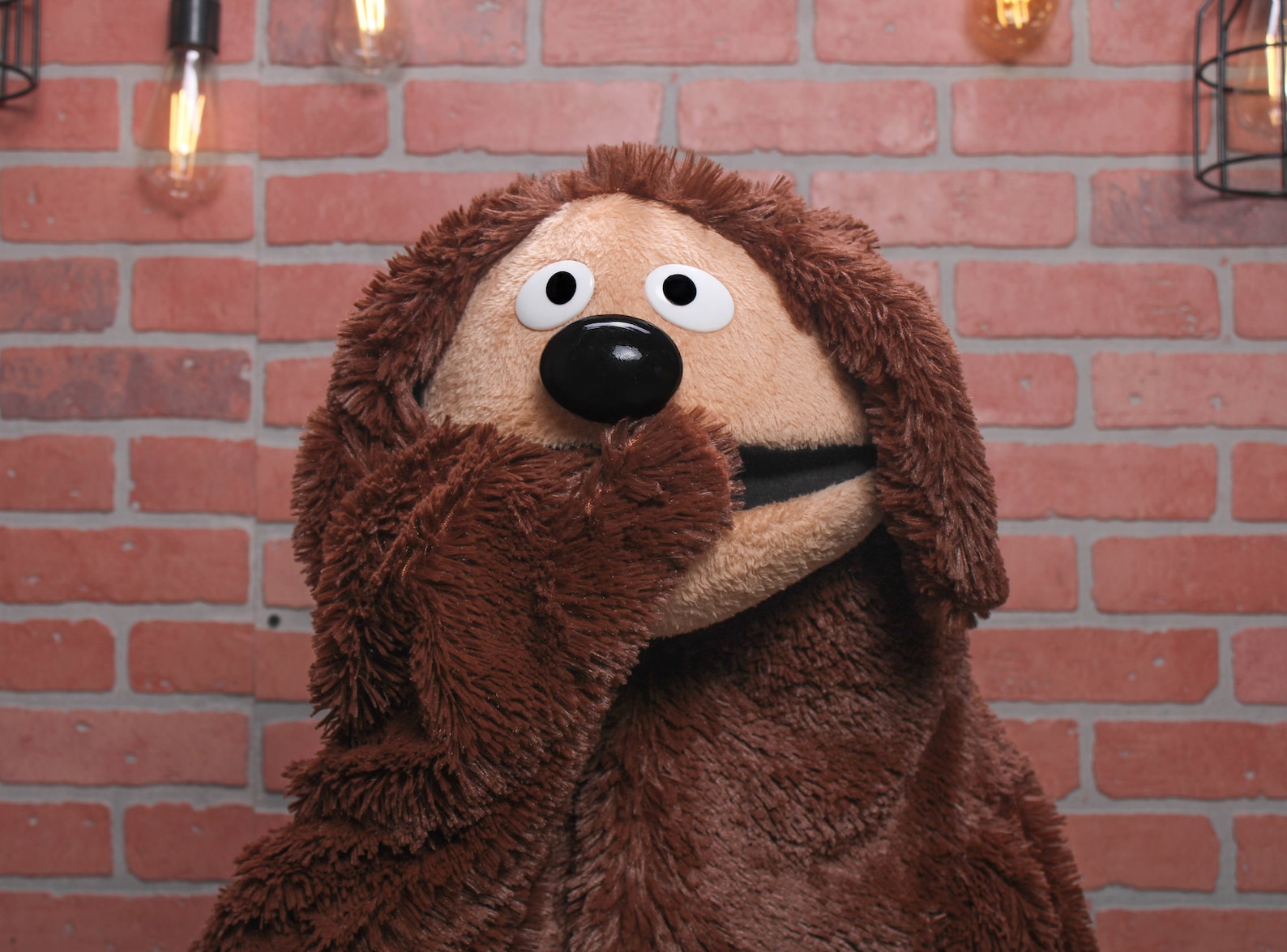 Rowlf the Dog Muppet Puppet | Muppet Puppet | the Muppets - Etsy Canada