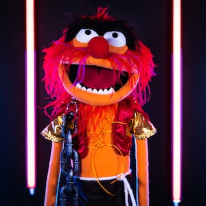 Animal Muppet Puppet | Muppet Puppet | the Muppets - Etsy