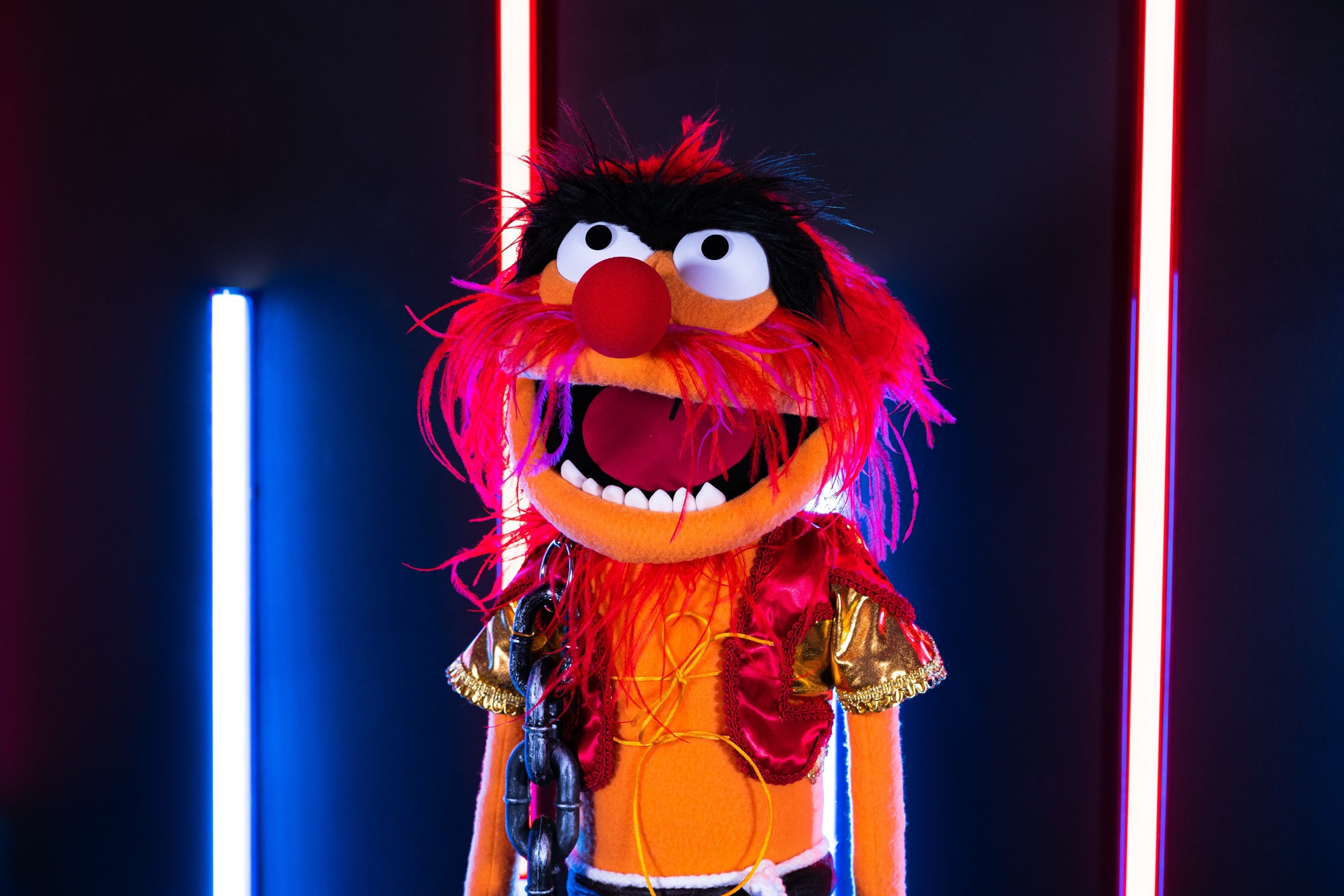 Animal Muppet Wallpaper