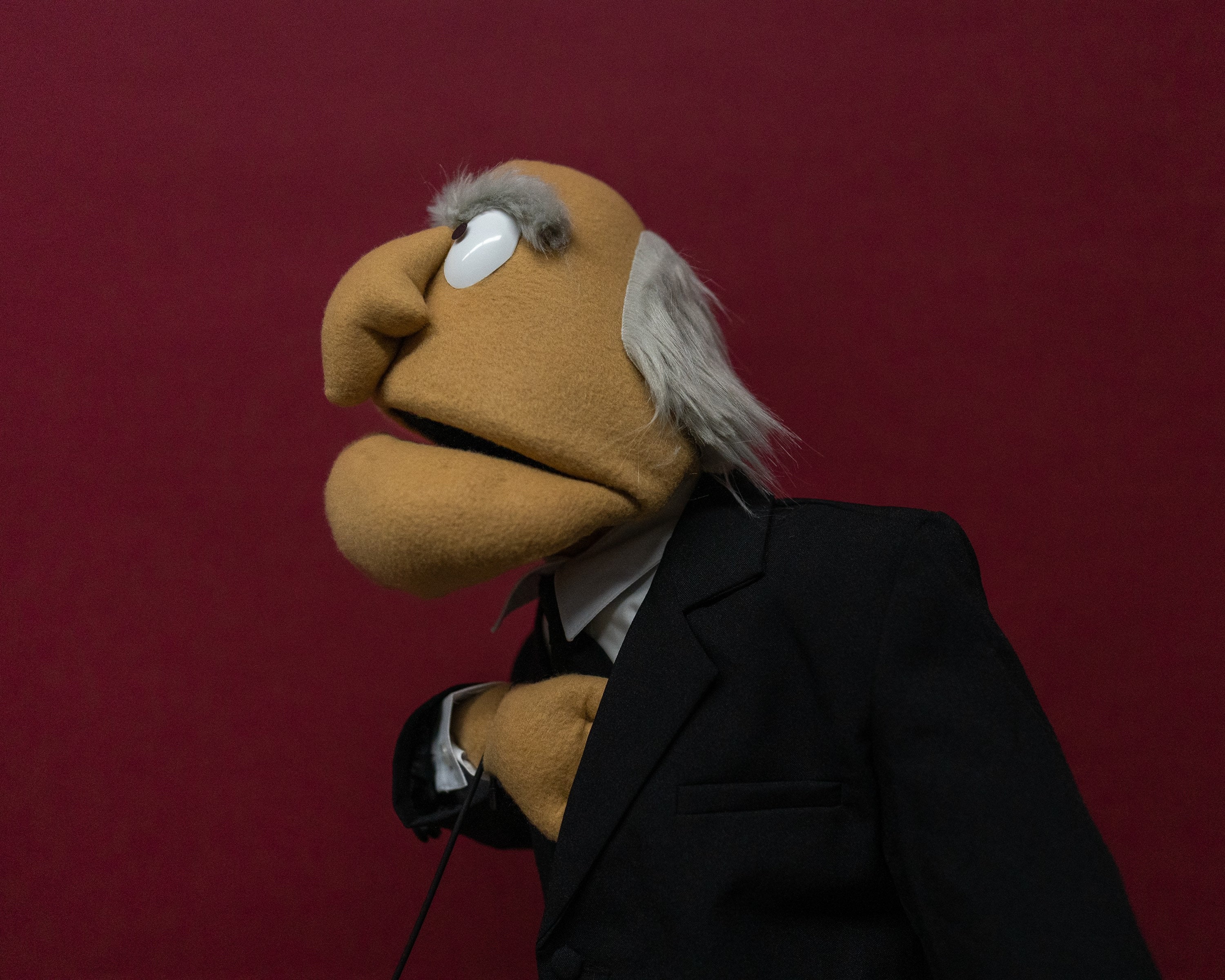 Statler and Waldorf Muppet Puppet - Etsy Canada