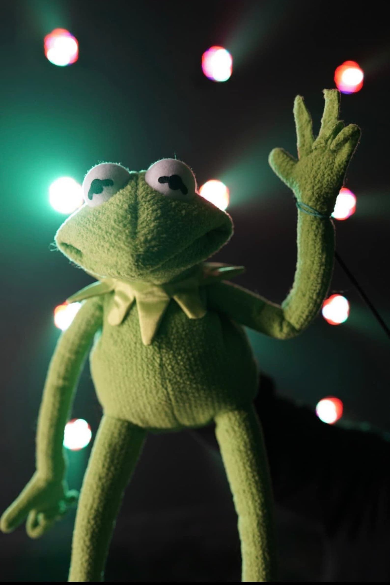Kermit the Frog Hand Puppet | Muppet Puppet | the Muppets - Etsy