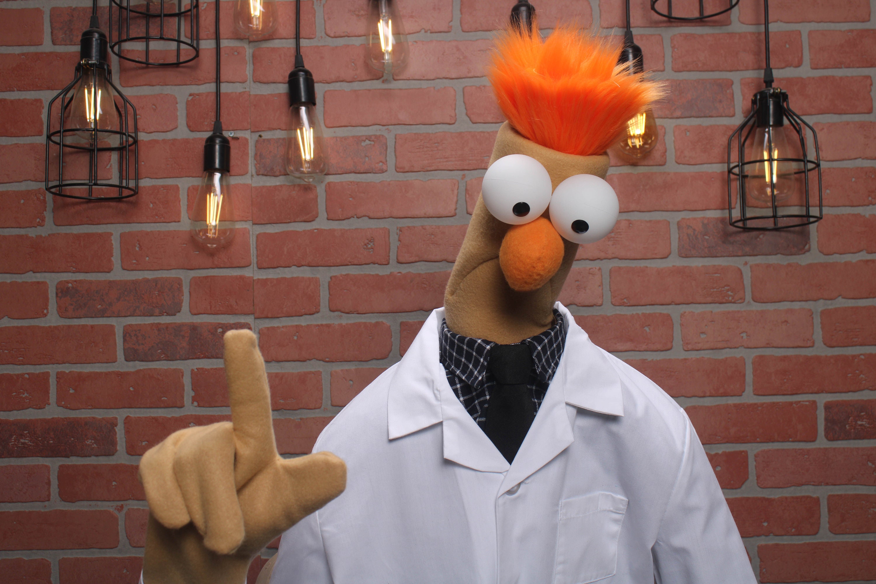 Réplica de títeres de los Muppets del vaso de precipitados / Marionetas ...