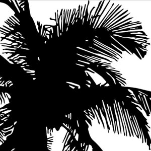 Palm Tree SVG and PNG High Quality Image - Etsy