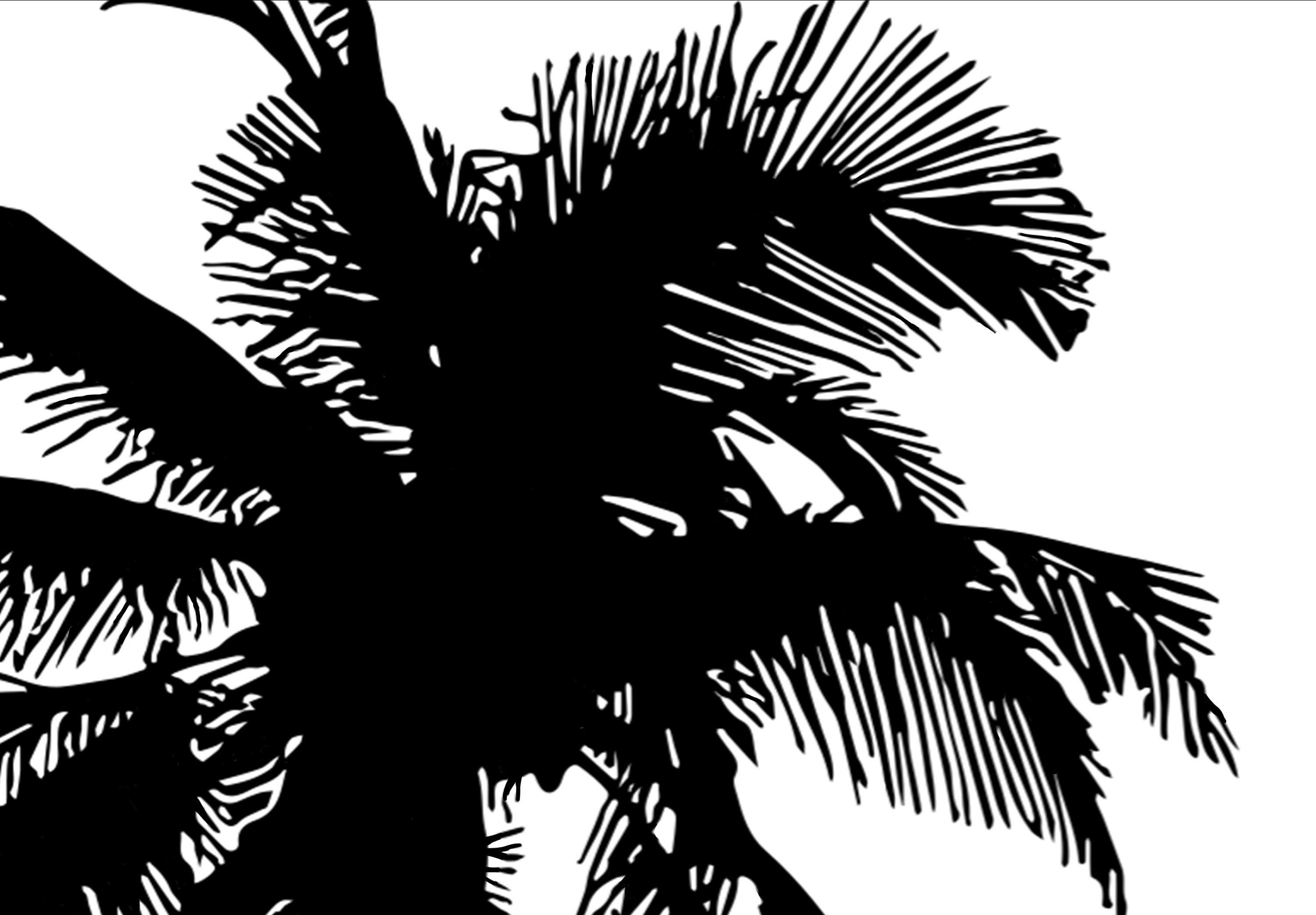 Palmera SVG y PNG Imagen de alta calidad - Etsy España