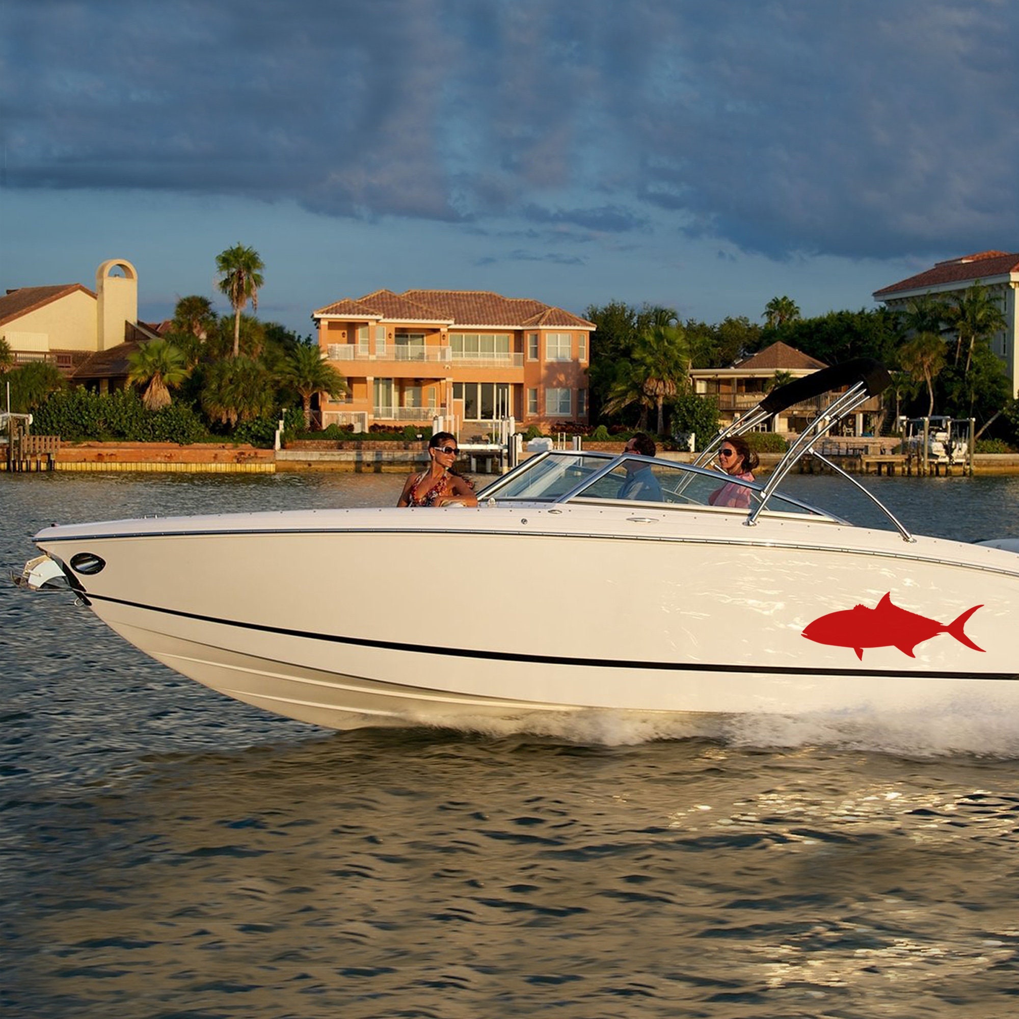 Amberjack Fish Boat Sticker Decals Compatible With Bowrider - Etsy