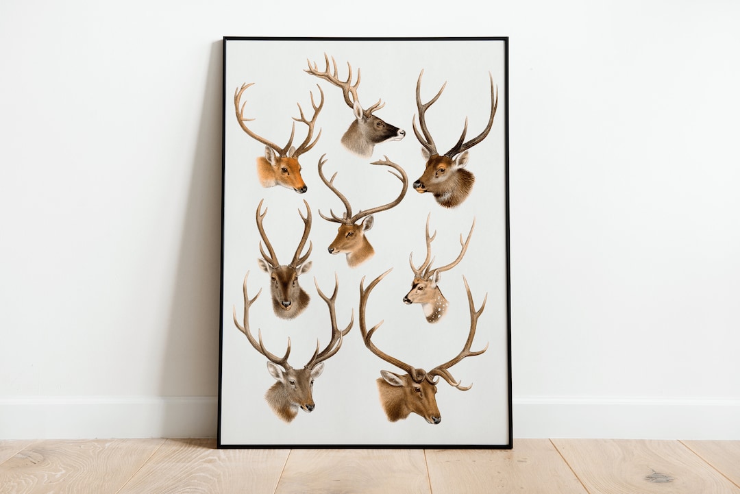 Vintage Stags Head Deer Wall Art Print Poster | A3 A4 | High Quality ...