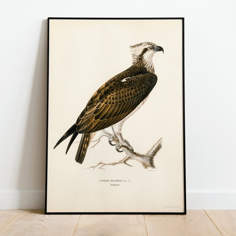 Bird Print - Etsy
