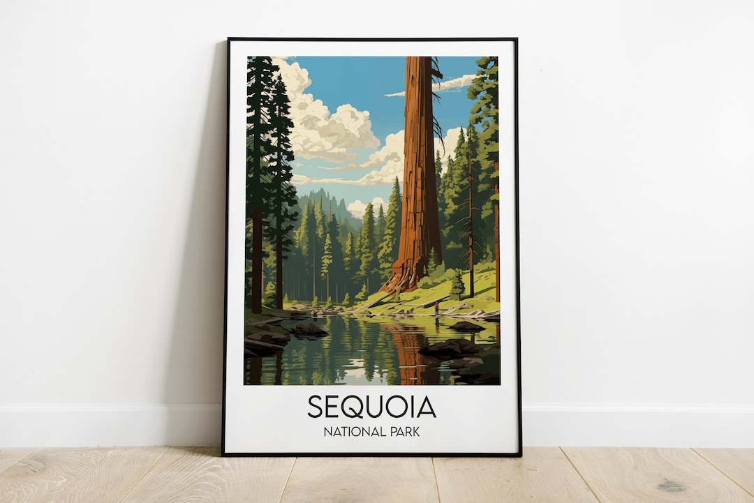 Sequoia National Park Travel Print - United States Poster - Custom ...