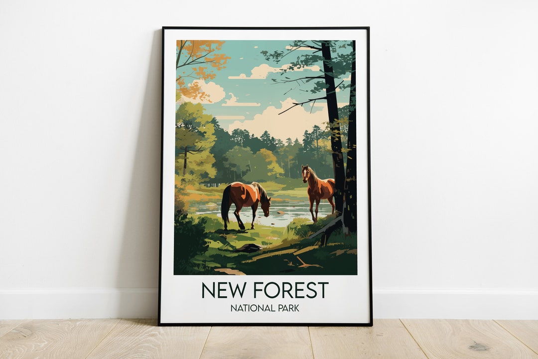 New Forest National Park Travel Print - England UK Poster - Custom ...