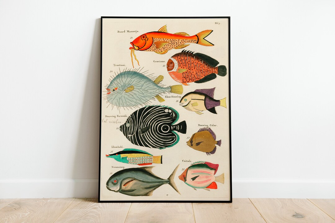 Vintage Fish Marine Wall Art Print Poster | A3 A4 | High Quality ...