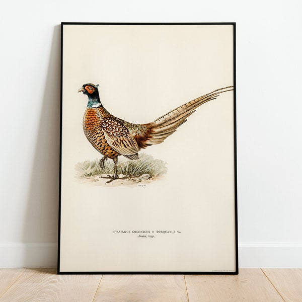 Pheasant Decor - Etsy