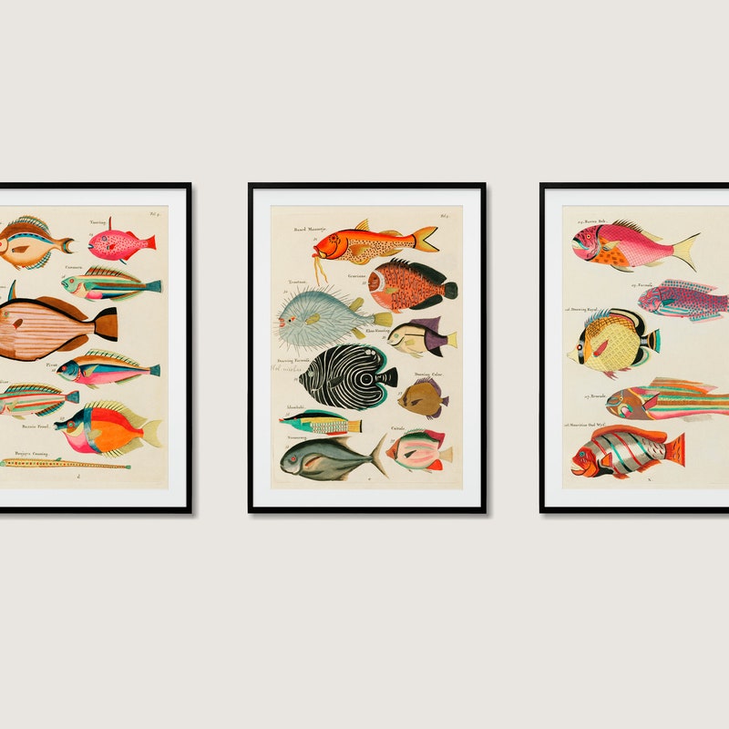 Ocean Fish Art - Etsy