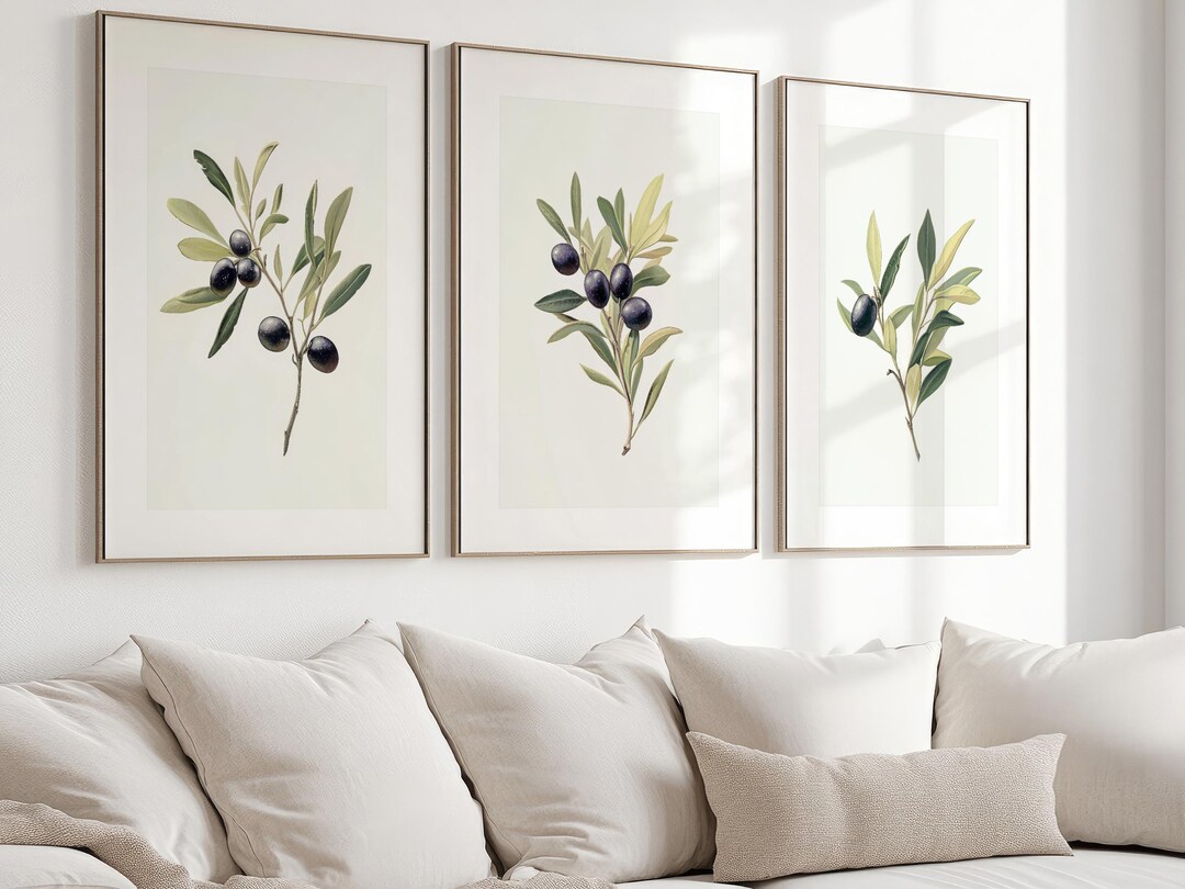 Vintage Olive Branch Drawings on White Background, Set of 3, Wall Art ...