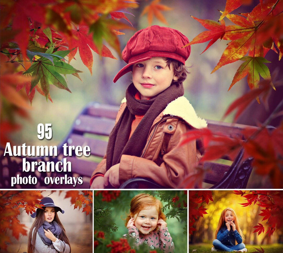 95 Autumn Tree Branch Overlays, Autumn Tree Branches PNG for ...