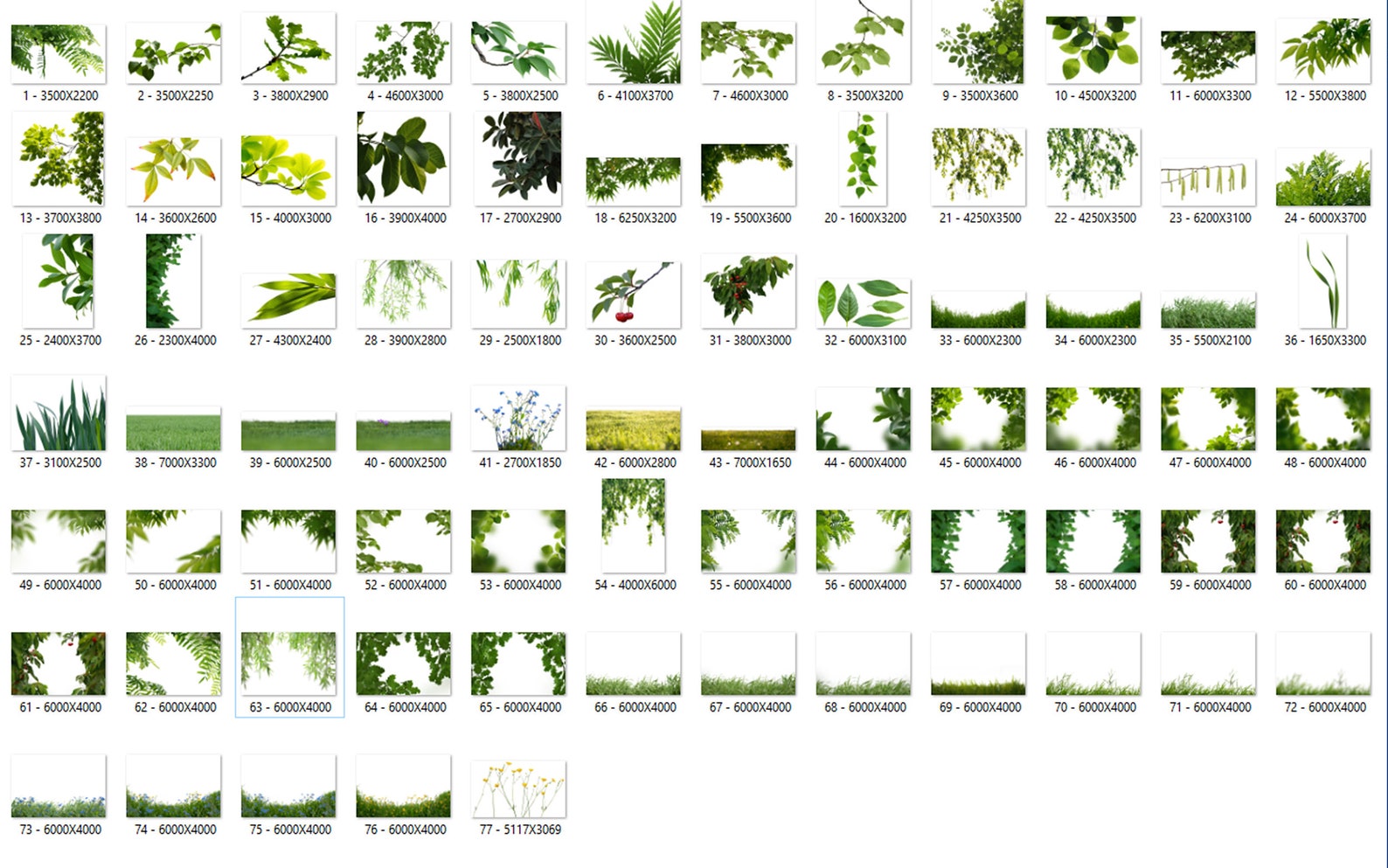 75 Green Branches & Grass Overlays, Green Branches Overlays, Maple ...