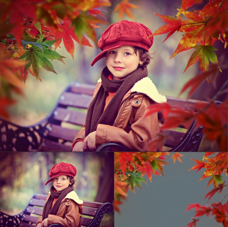 95 Autumn Tree Branch Overlays, Autumn Tree Branches PNG for ...