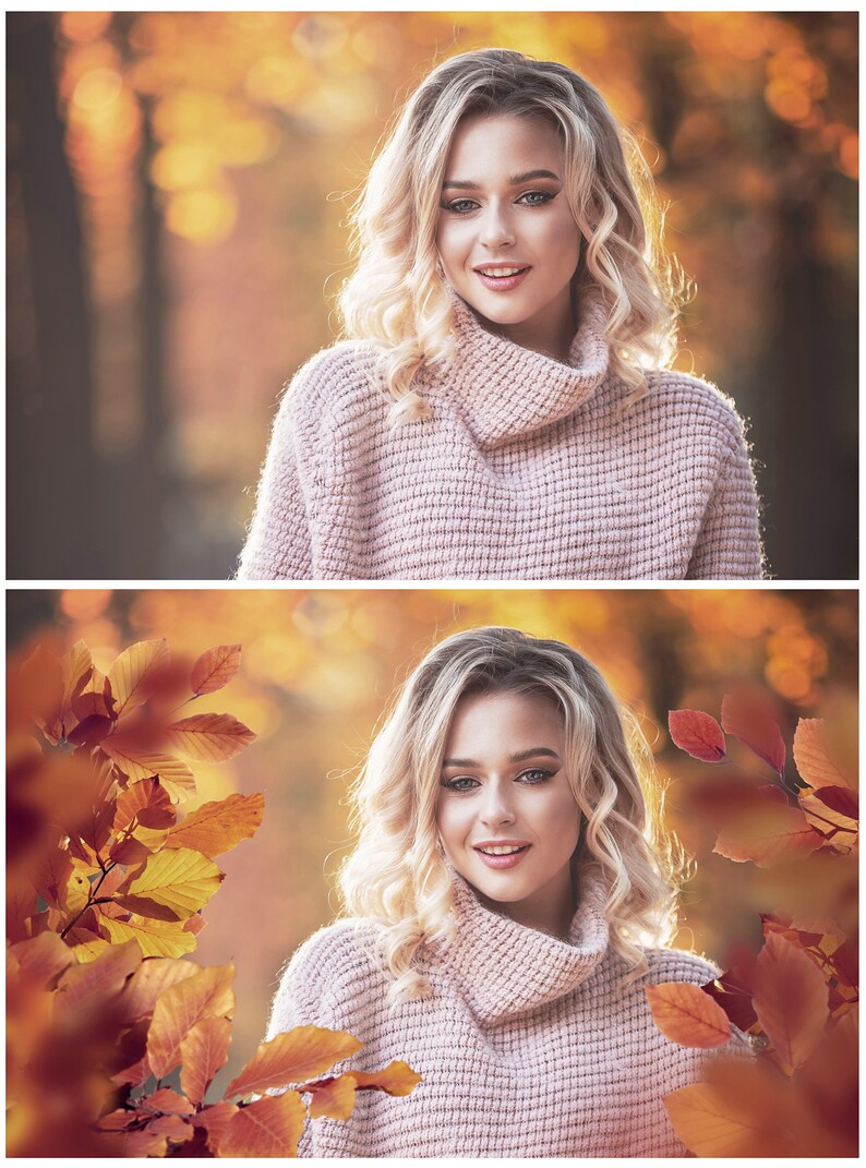 95 Autumn Tree Branch Overlays, Autumn Tree Branches PNG for ...